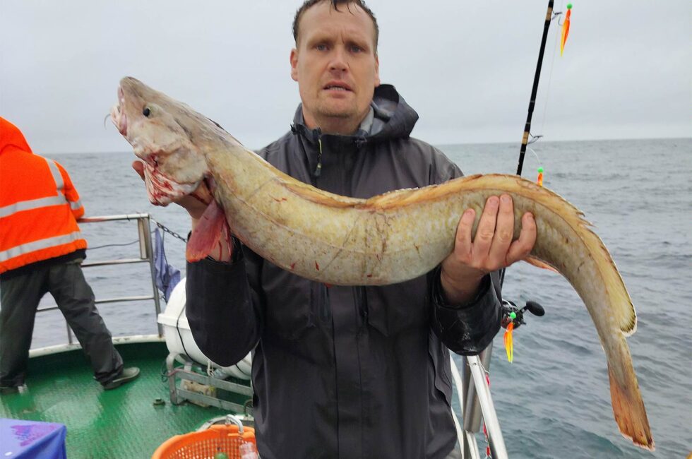 EN FLOT LANGE FRA NORDSØEN - Fisk & Fri