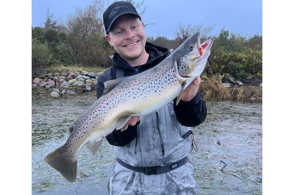 SYDSJÆLLAND & OMEGN – SÅ ER REGNBUERNE PÅ FINNERNE - Fisk & Fri