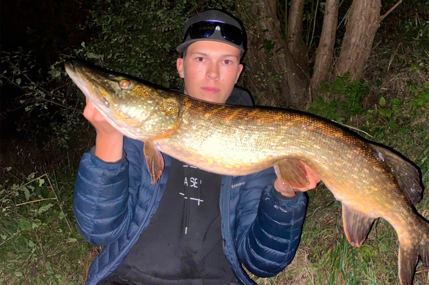 GEDDER PÅ FINNERNE - Fisk & Fri