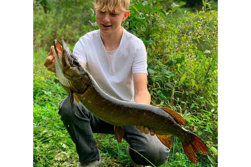 EN SMUK GEDDE PÅ DØD AGN OG FLÅD - Fisk & Fri