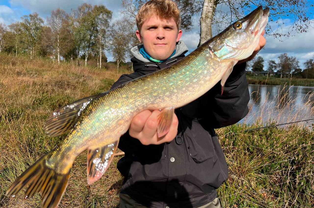 ABORRER OG GEDDER – ET PAR GODE DAGE I MOSEN - Fisk & Fri