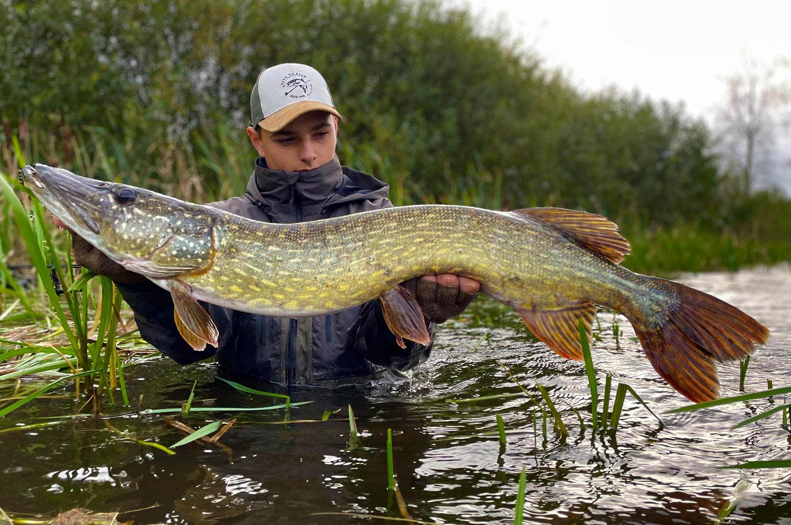 FLOTTE GEDDER PÅ DØD AGN OG GUMMI - Fisk & Fri