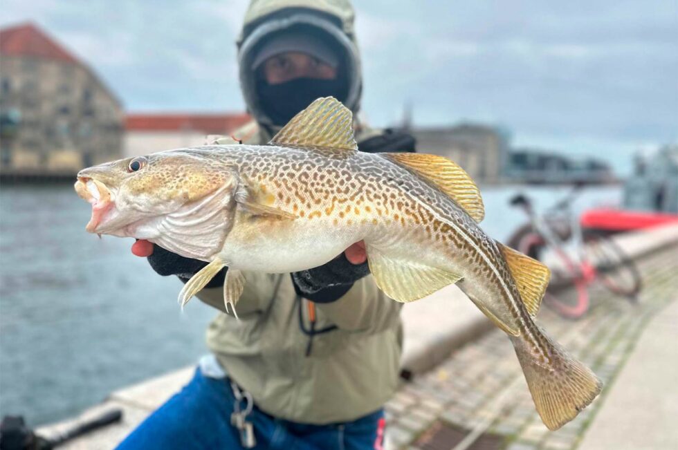 FKK HAVNECUP I KØBENHAVN STOR SUCCES - Fisk & Fri