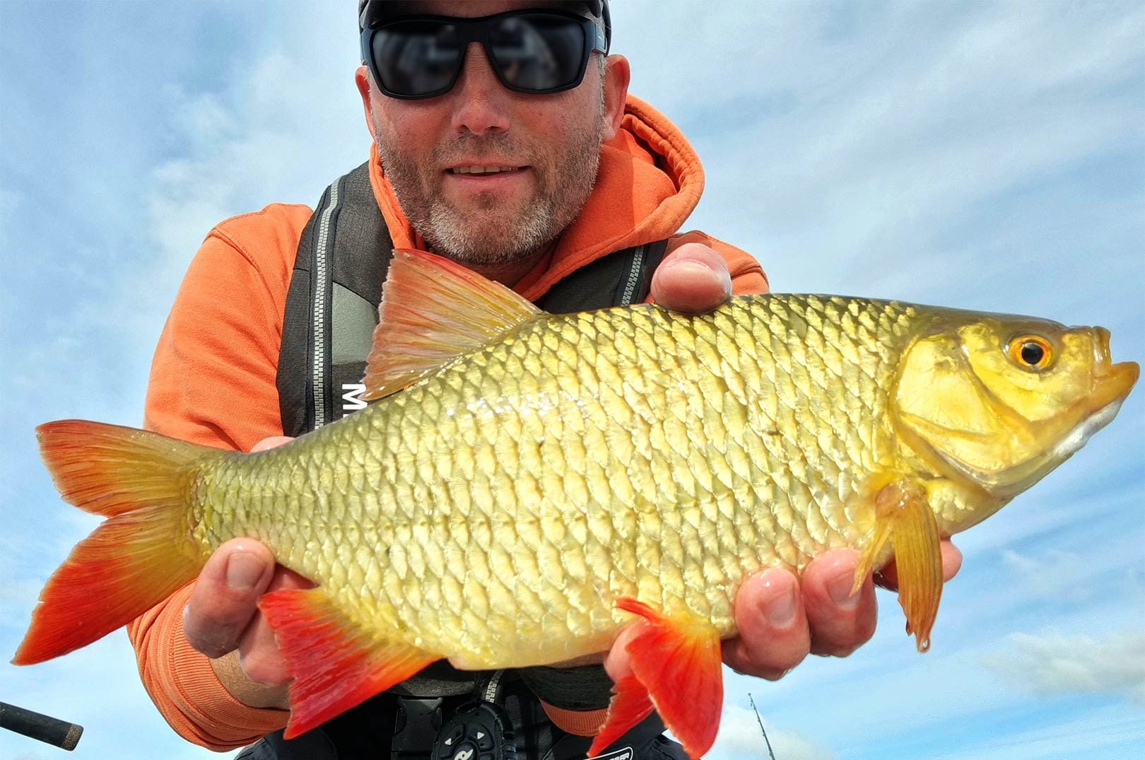 EN GUDESMUK RUDSKALLE PÅ DROP SHOT - Fisk & Fri