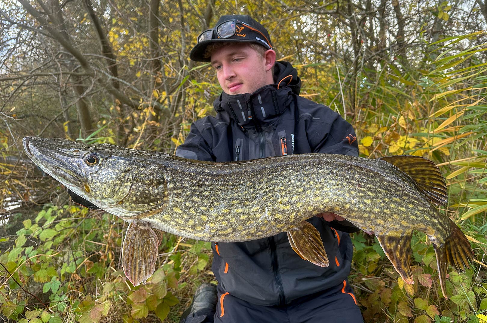 KOLDE GEDDER PÅ WOBLER - Fisk & Fri