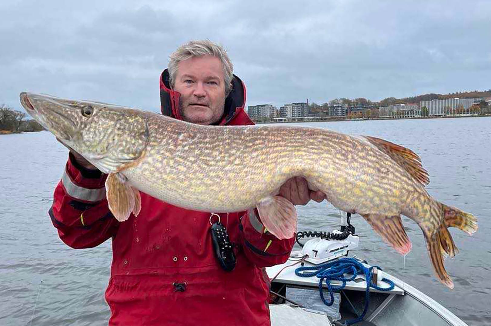 DRØMMEGEDDE NAPPER LEVENDE SKALLE - Fisk & Fri