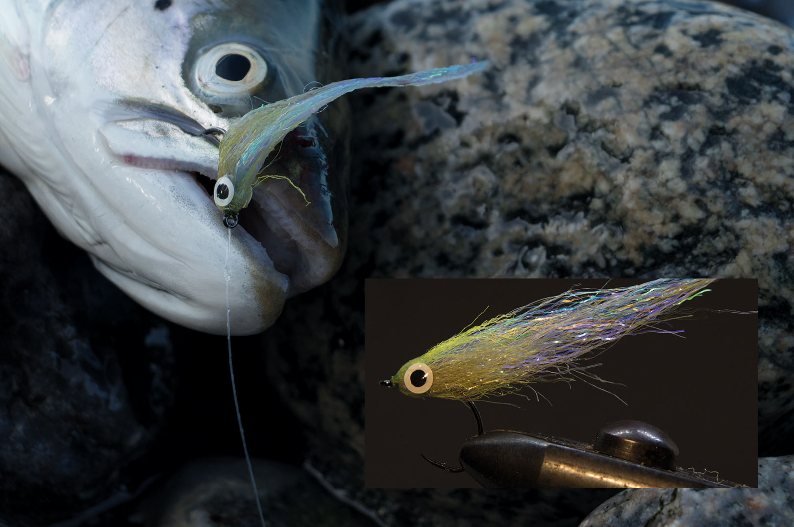 KYSTFLUE: BIND EN TURBOTOBIS - Fisk & Fri