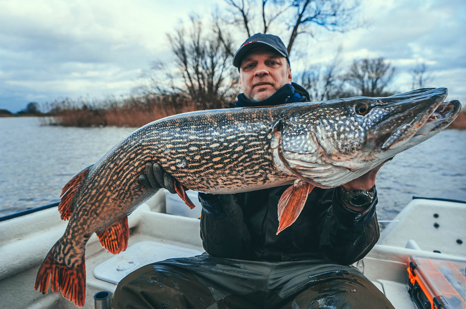 EN FLOT DANSK GEDDE FRA HOLLAND - Fisk & Fri
