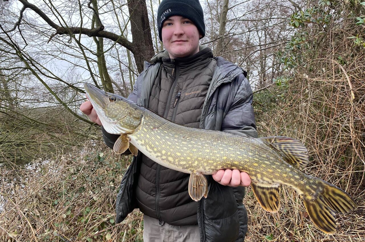 FINE FYNSKE GEDDER PÅ SPIN - Fisk & Fri