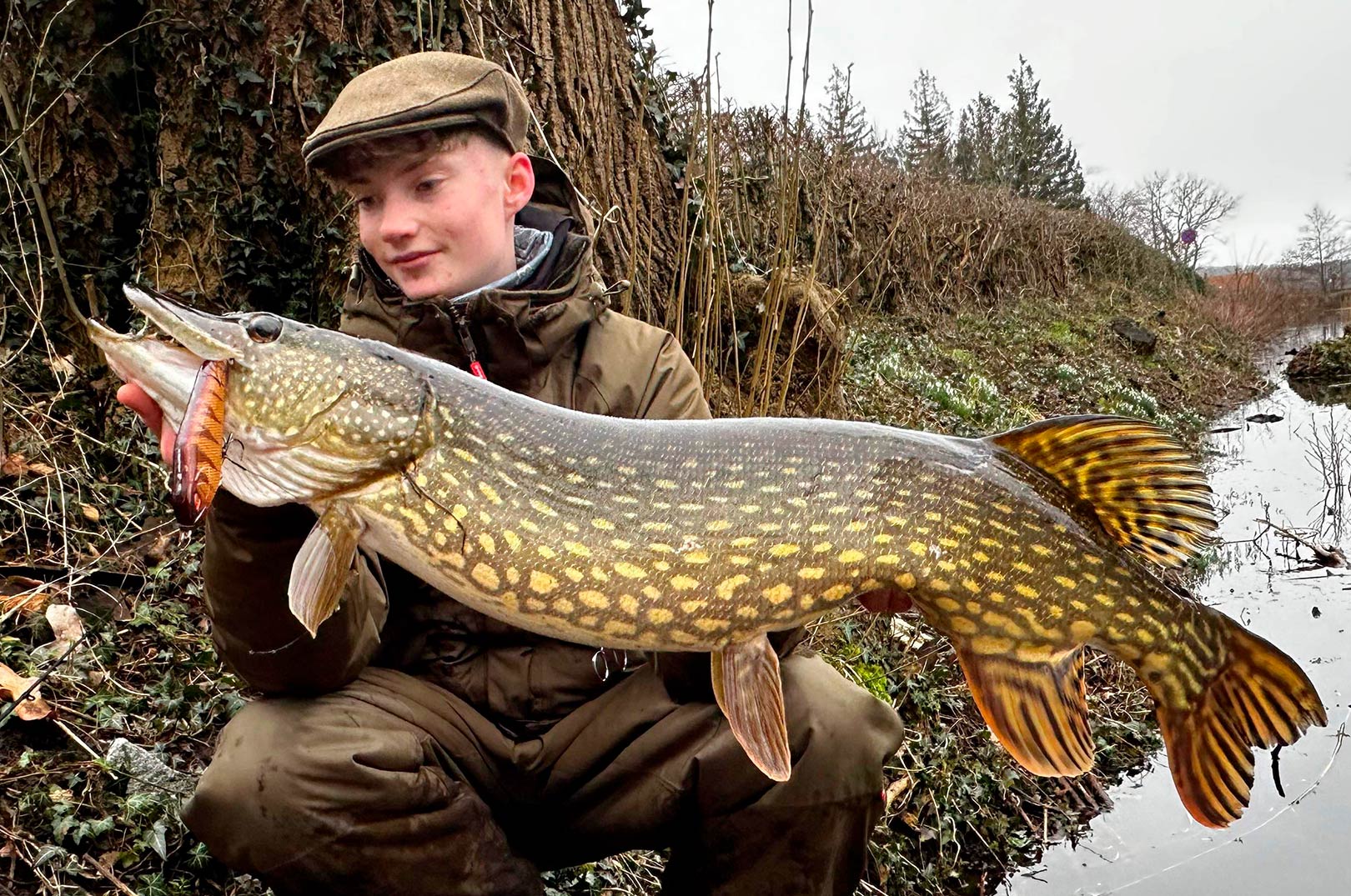 FINE FYNSKE GEDDER PÅ SPIN - Fisk & Fri