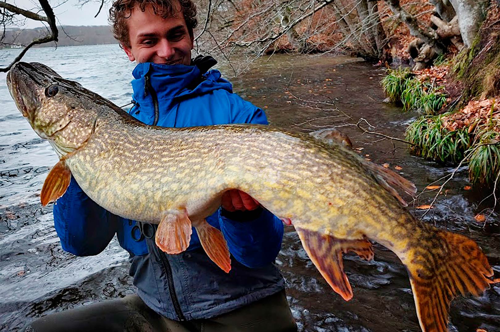 KINETIC FISKECUP 2024: GODT BLÆS PÅ VINDEN OG EN NY GEDDE-PR - Fisk & Fri