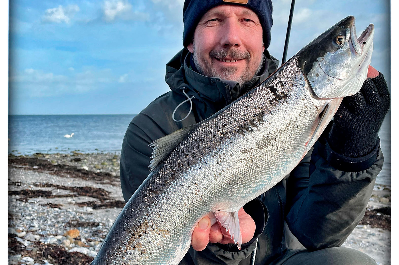 HAVØRREDHYGGE PÅ KYSTEN - Fisk & Fri