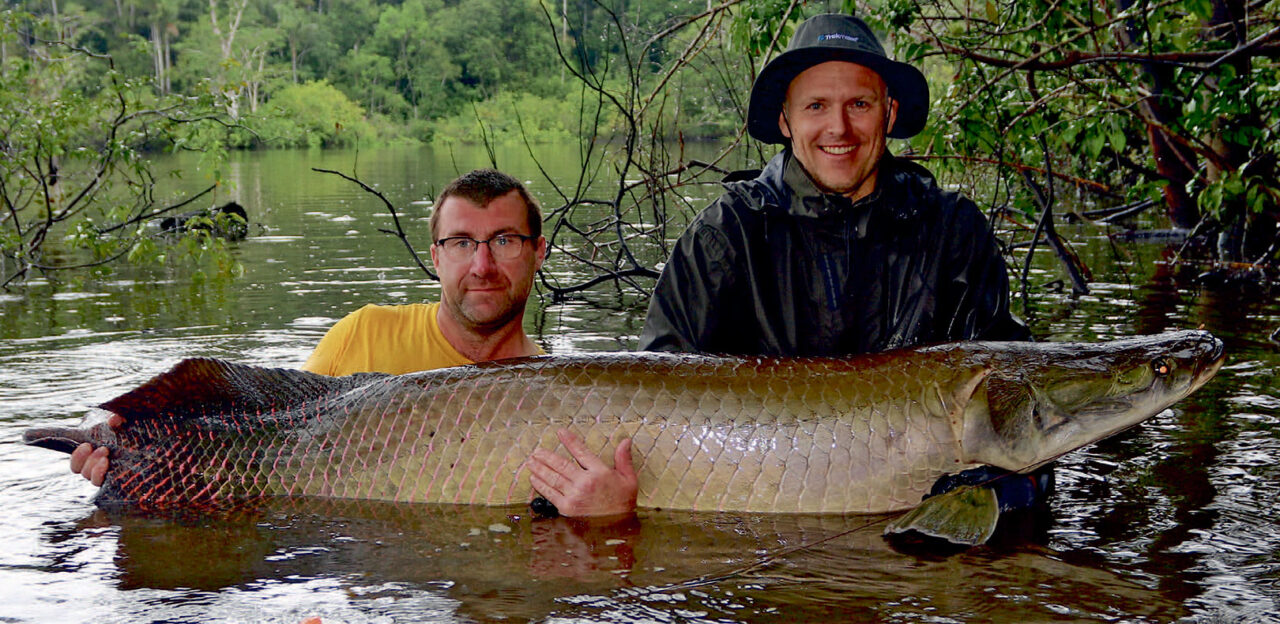 AMAZONAS: PÅ ARAPAIMAJAGT I JUNGLEN - Fisk & Fri