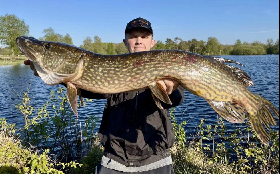 EN FIN PREMIERE-GEDDE - Fisk & Fri