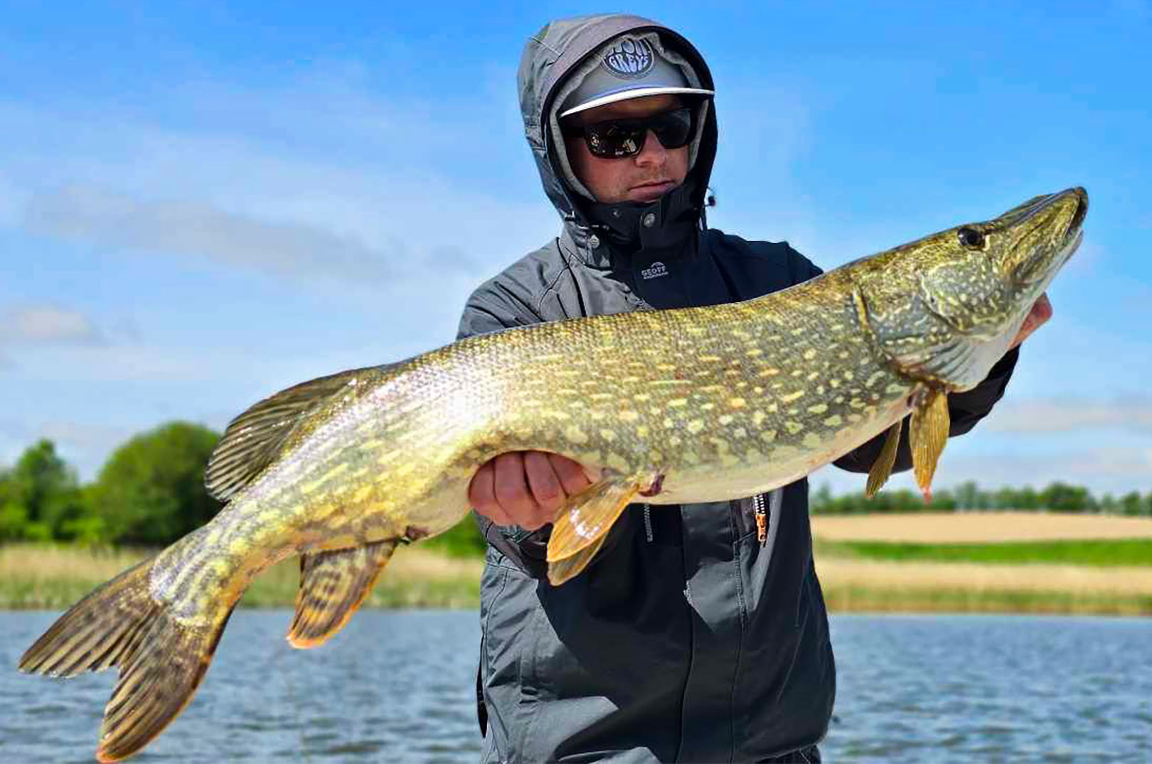 DA TRÆSTAMMEN BLEV VAKT TIL LIVE - Fisk & Fri