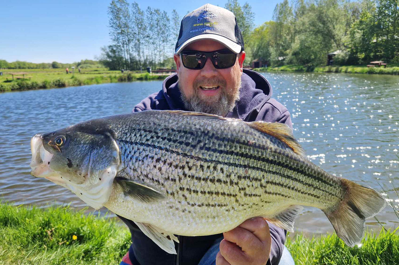 EN FLOT SUNSHINE BASS FRA STILBJERG LYSTFISKERSØ - Fisk & Fri
