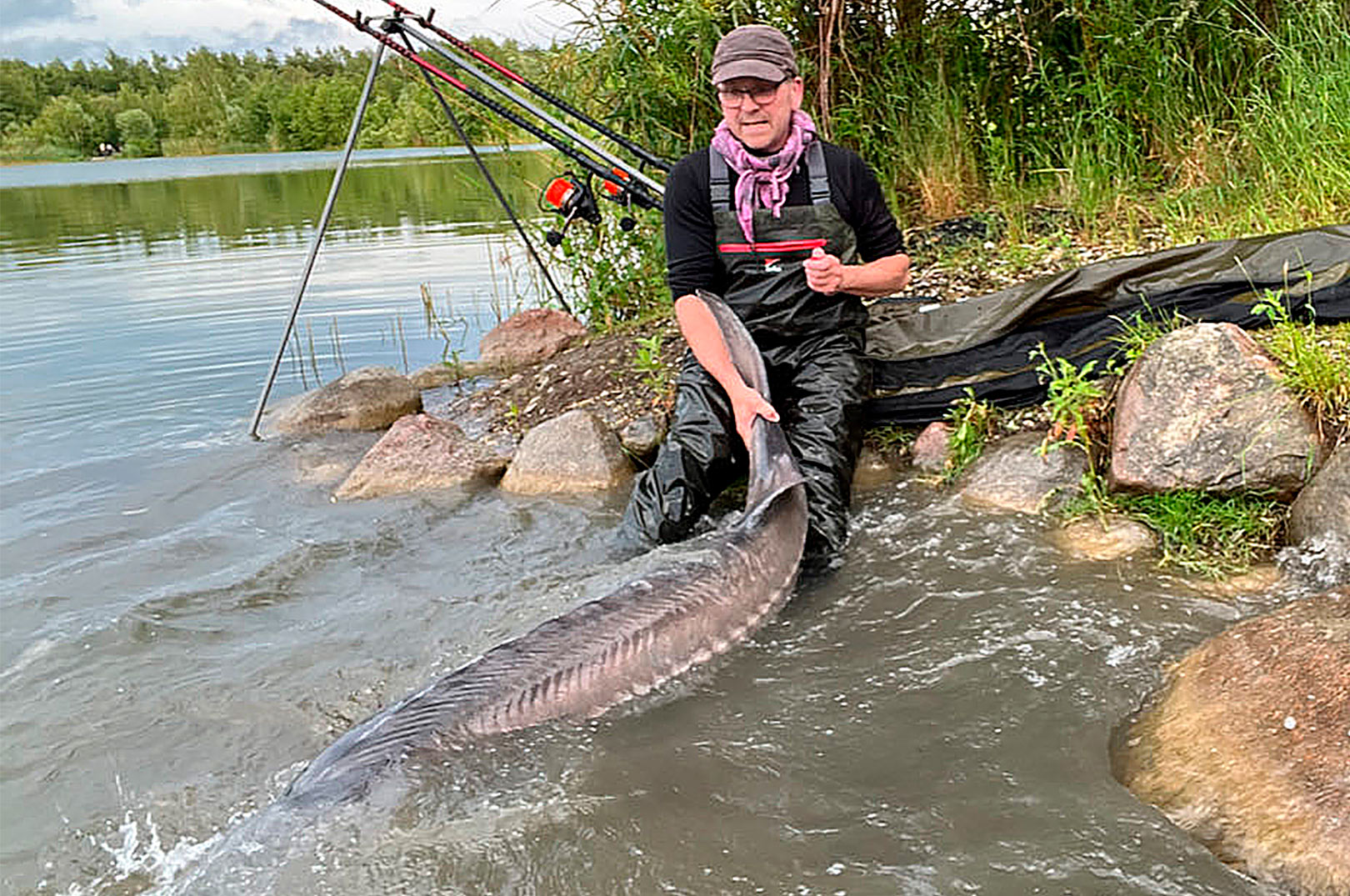 I DEN SYVENDE BELUGAHIMMEL - Fisk & Fri