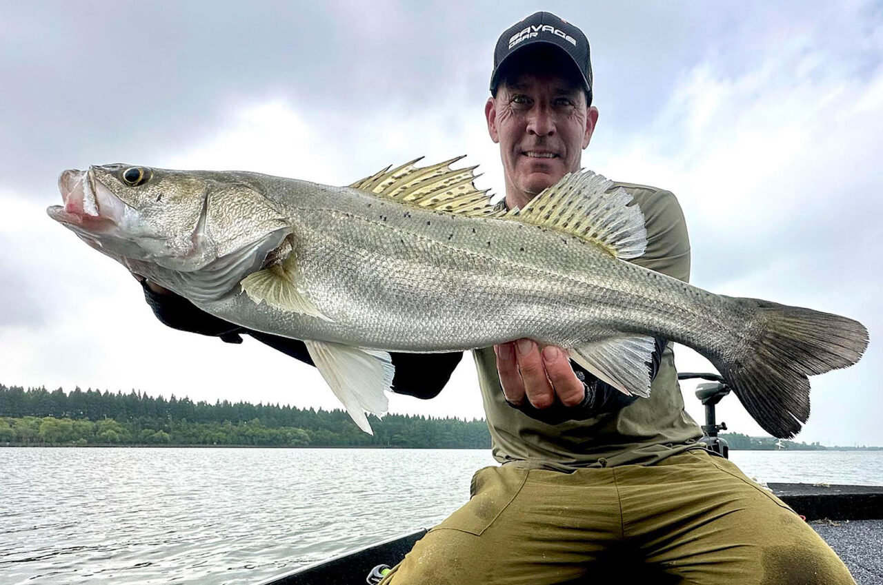 YELLOW CHEEKS OG HAVBARS - Fisk & Fri