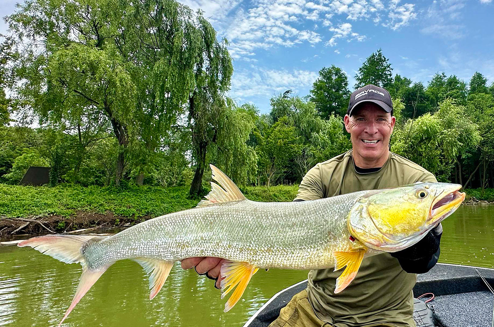 YELLOW CHEEKS OG HAVBARS - Fisk & Fri