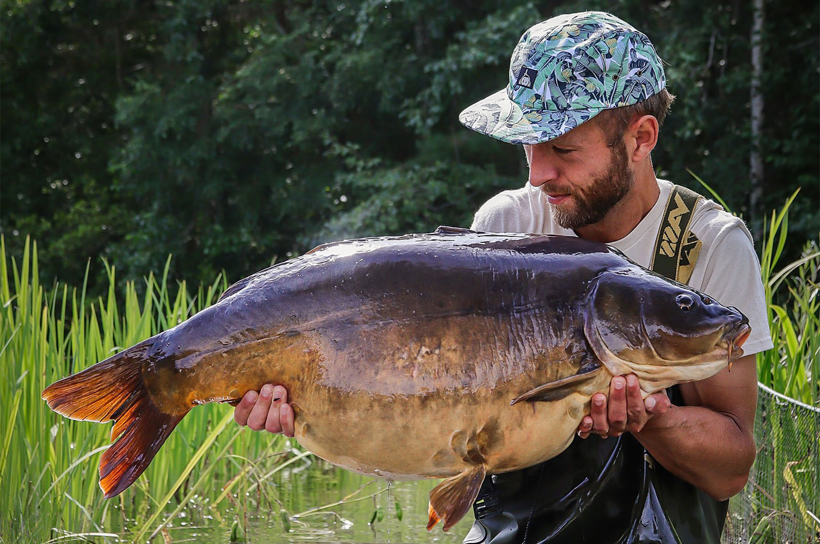 KARPEFISKERI: THE FOREST LAKE LEVERER BIG TIME - Fisk & Fri