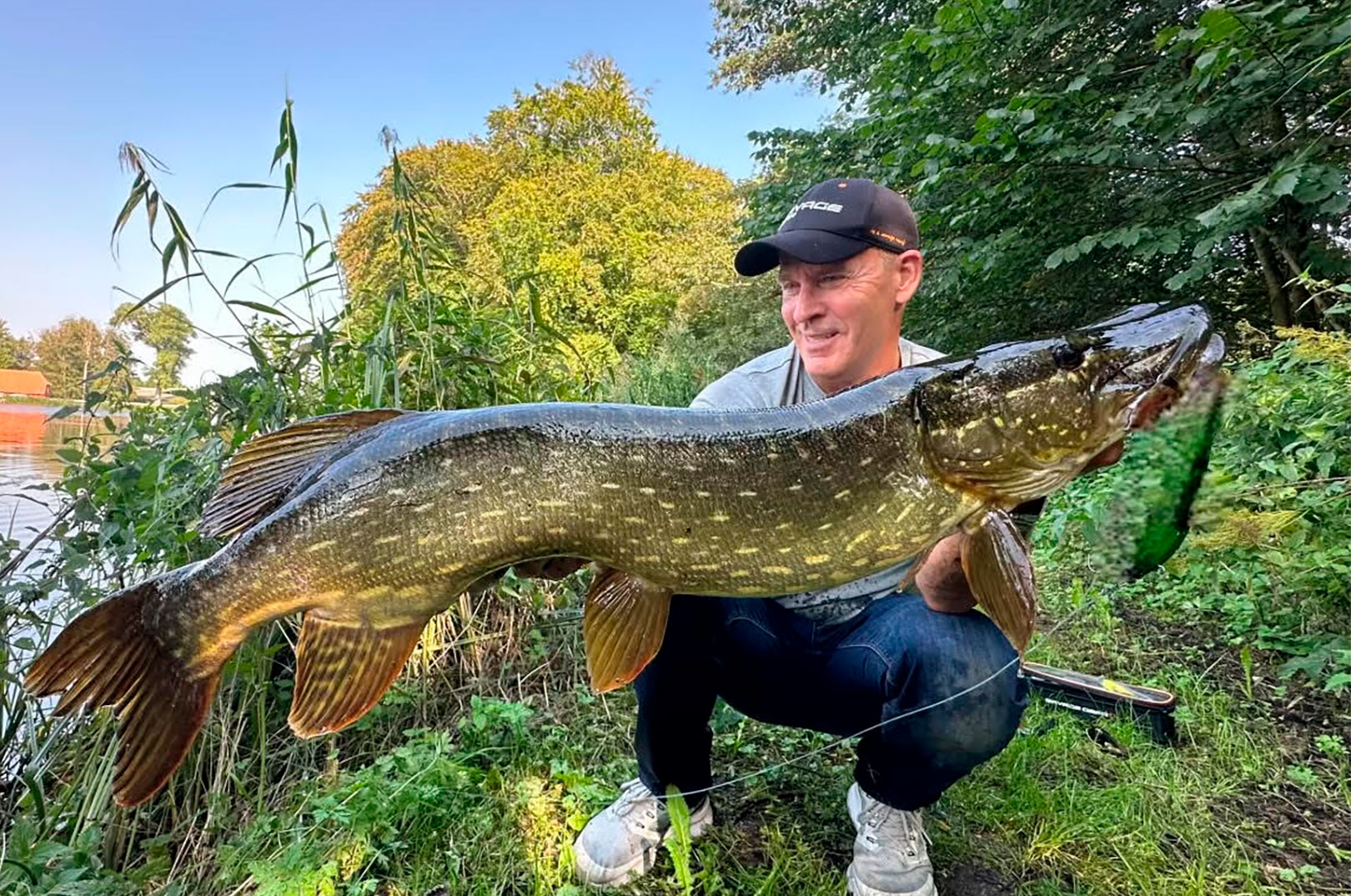 GEDDESPIN: TO AF DE STORE GRØNNE - Fisk & Fri