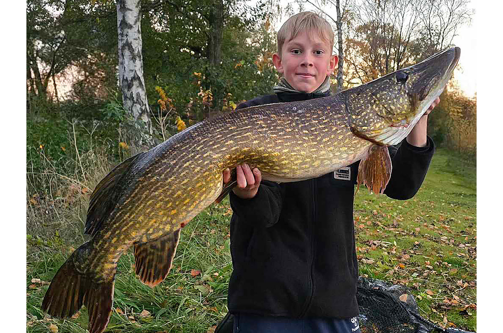 FLOTTE MEDE-GEDDER FRA SILKEBORG - Fisk & Fri