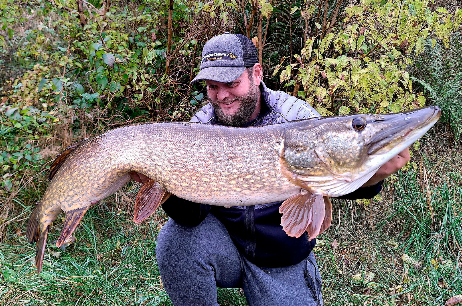 GEDDEFISKERI: CATCH & RELEASE BETALER SIG - Fisk & Fri