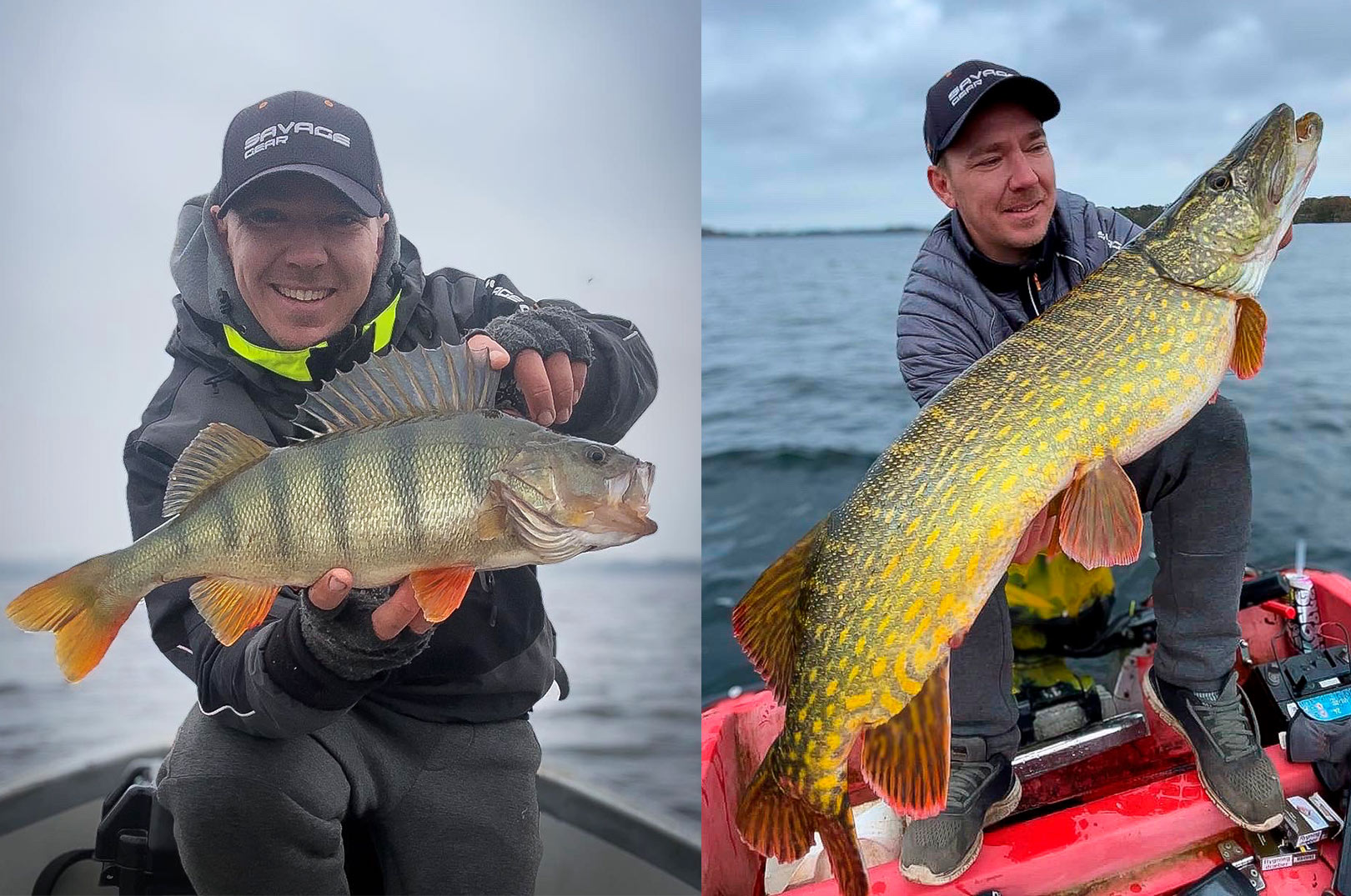 BÅDE ABORRER OG GEDDER ELSKER SMÅ SOFTBAITS - Fisk & Fri
