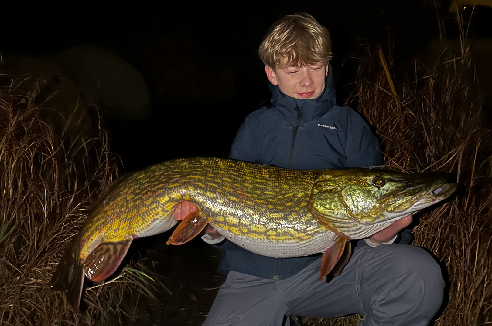 STORE GEDDER TAGER OGSÅ SMÅ AGN - Fisk & Fri