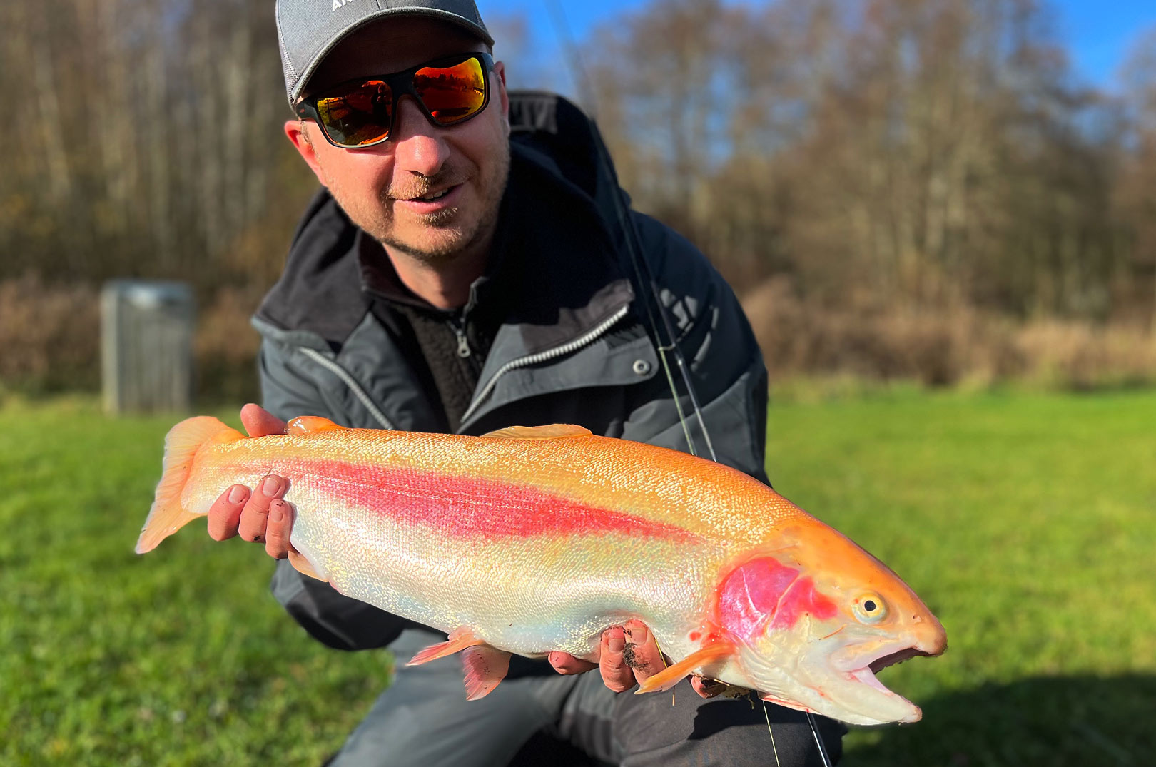 EN PERFEKT GULDØRRED FRA MEDESTEDET - Fisk & Fri