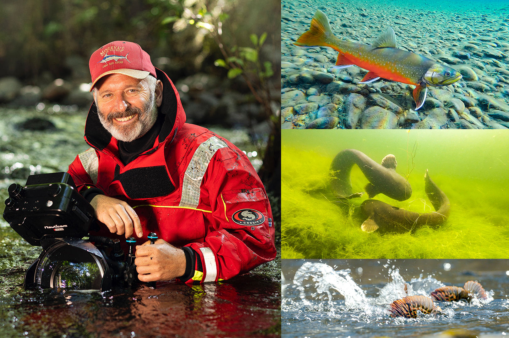 NY SÆSON AF MARTIN FALKLINDS TV-SERIE ”FISKARNAS RIKE” PÅ VEJ - Fisk & Fri