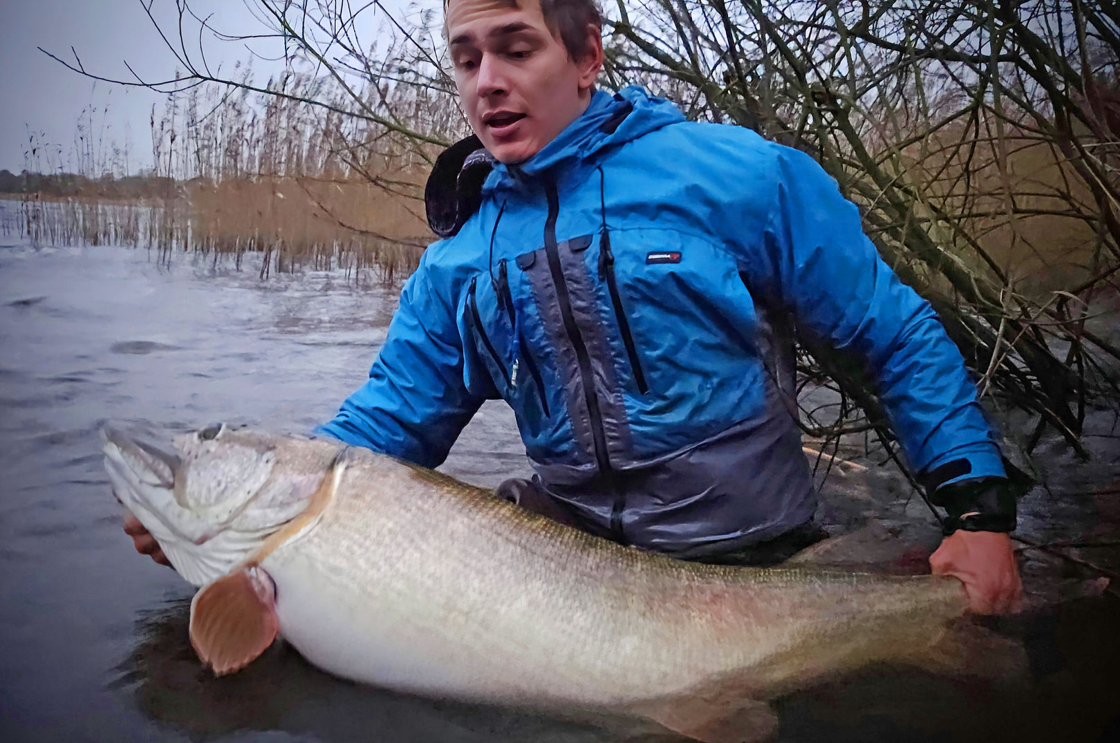 MONSTERHUG: 130 CM DANSK GEDDE FRA FLYDERING - Fisk & Fri