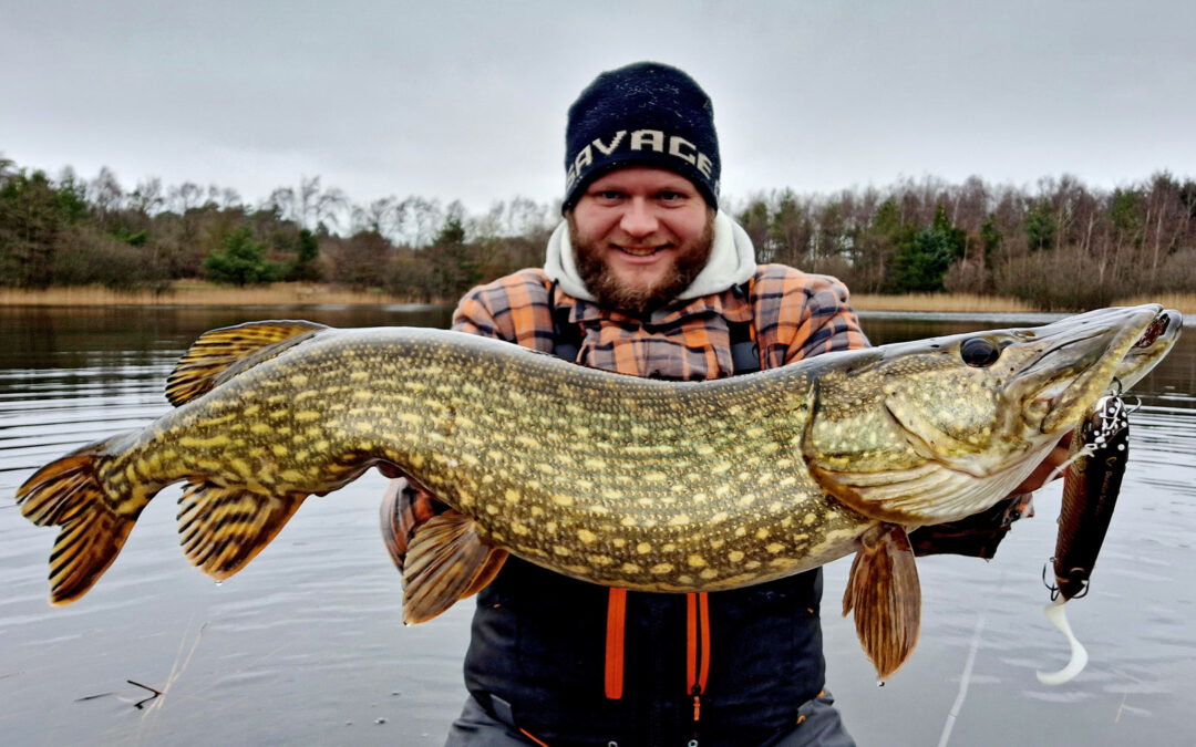 EN GUDDOMMELIGT SMUK GEDDE - Fisk & Fri