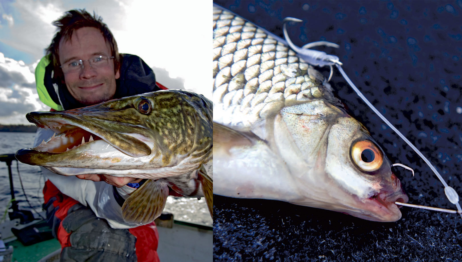 GEDDEFISKERI: KROG BEDRE MED TWINEX MOVING HOOK RIGS - Fisk & Fri