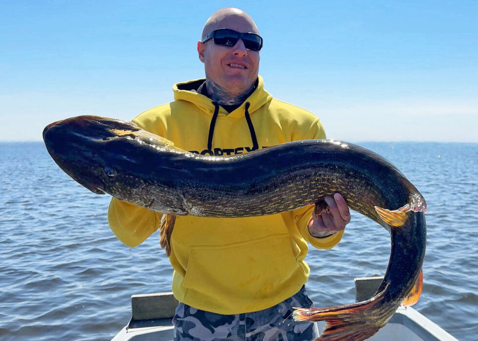 133 CM: NY POTENTIEL LÆNGDEREKORD FOR DANSK GEDDE - Fisk & Fri