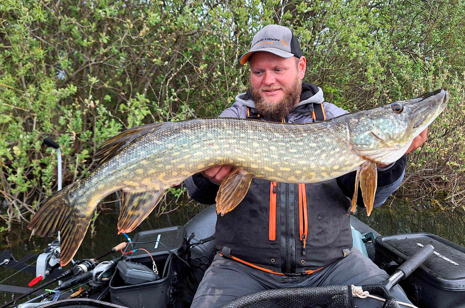 FINE MAJGEDDER PÅ SPIN - Fisk & Fri