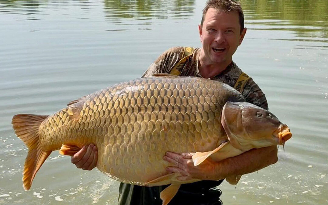 UNGARN: NY VERDENSREKORD FOR SKÆLKARPE - Fisk & Fri