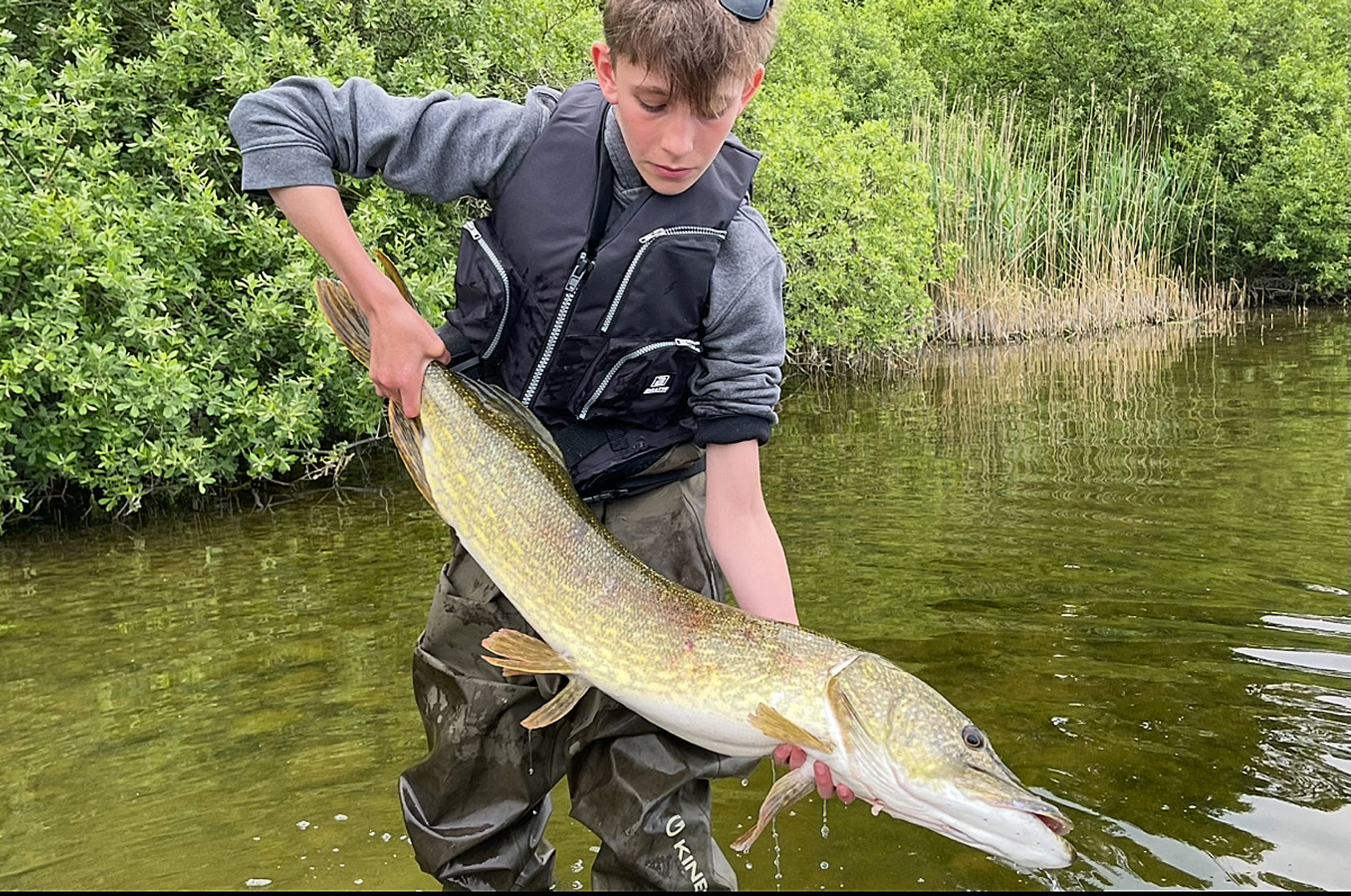 WESTIN CUP 2025: DEN MAGISKE METER-GEDDE - Fisk & Fri